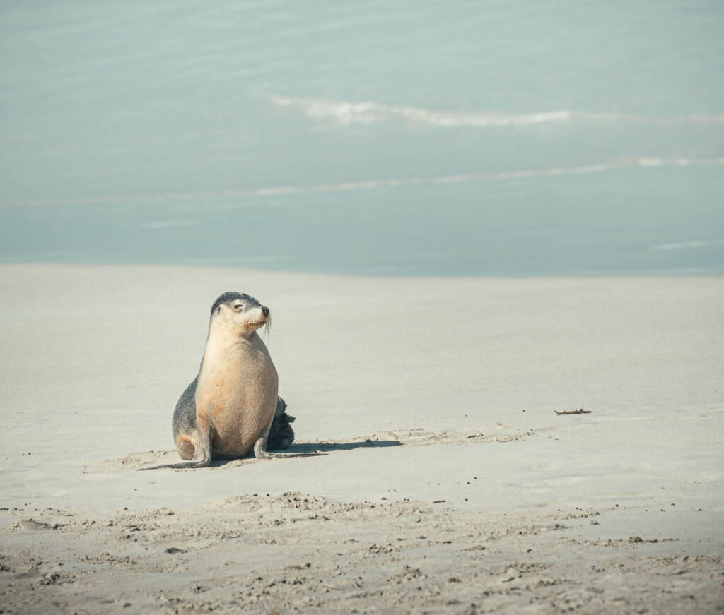 10 Days on Australia’s East Coast: The Ultimate Itinerary for Adventure ...